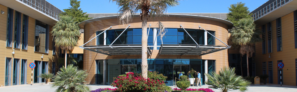 Al Dhannah Hospital